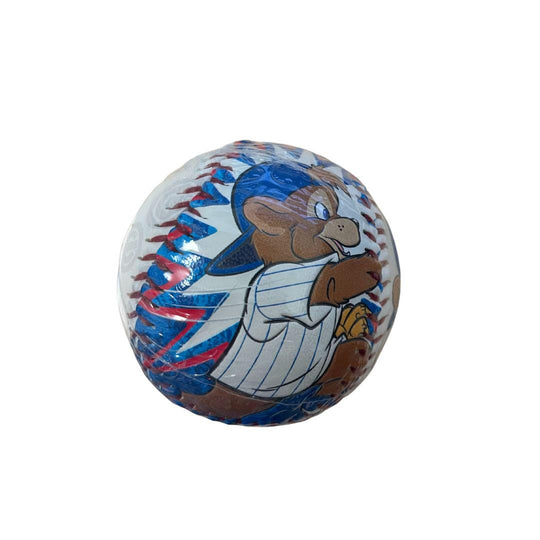 Chicago Cubs Bats & Balls – Ivy Shop