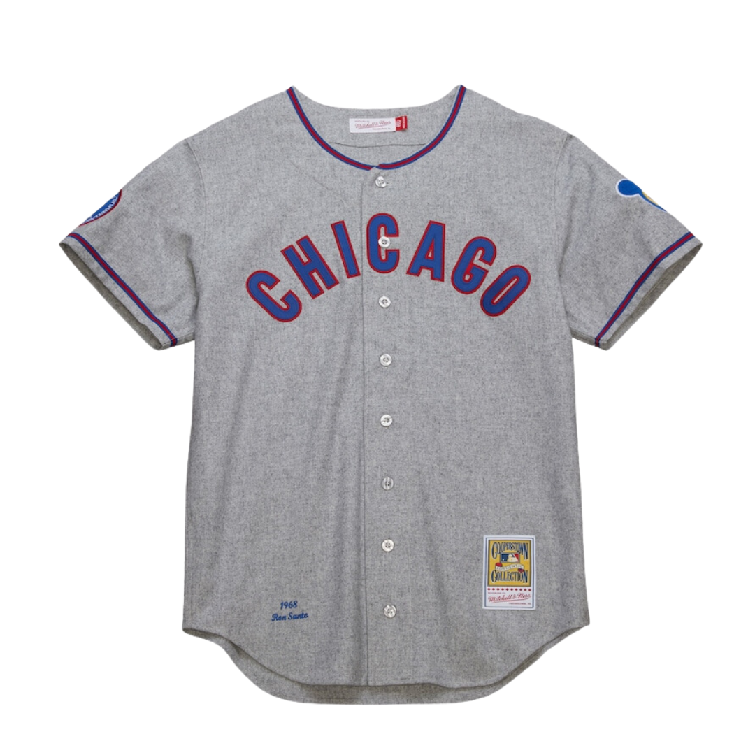 Chicago Cubs Ron Santo Gray 1968 Authentic Jersey by Mitchell & Ness ...